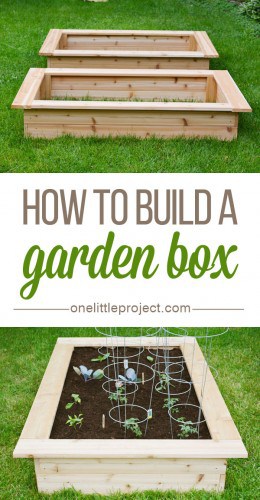 How to make a garden box
