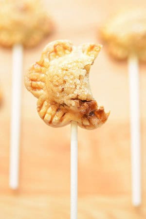Flower Shaped S'more Pie Pops Recipe