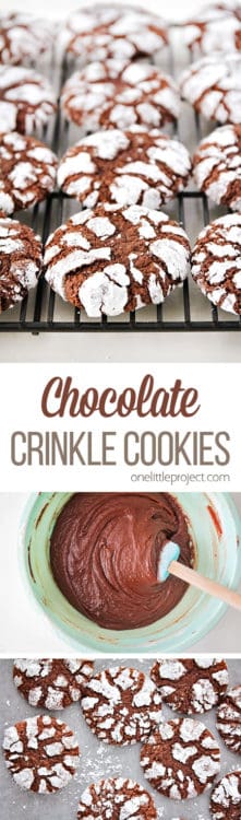 Chocolate Crinkle Cookies Recipe - One Little Project