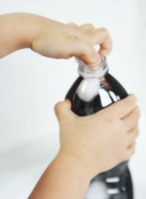 How to Make Water Bottle Penguins