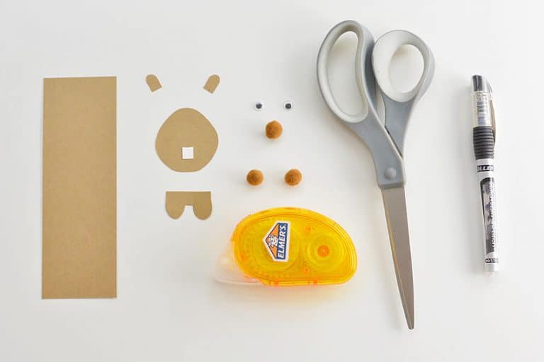 How to Make Paper Roll Animals | Bears, Monkeys, Porcupines and More!