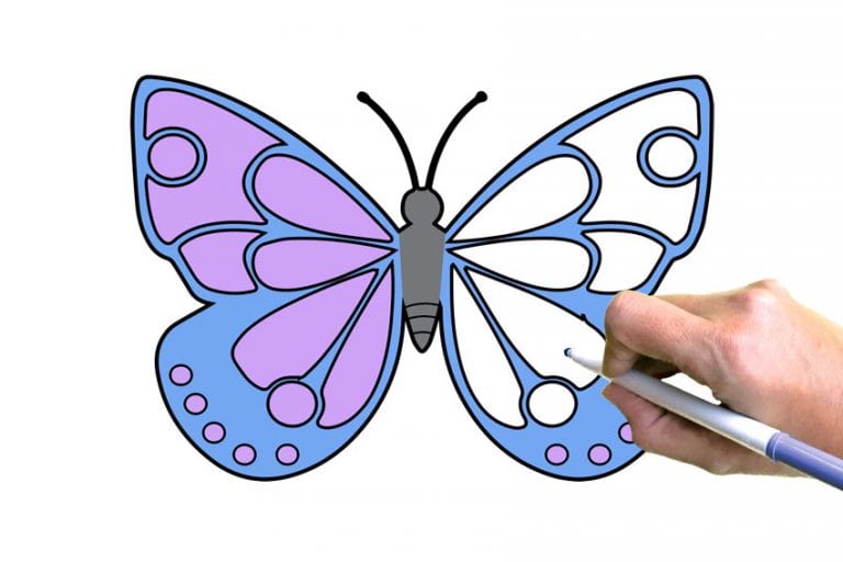 Butterfly Template | Free Printable Butterfly Outlines - One Little Project
