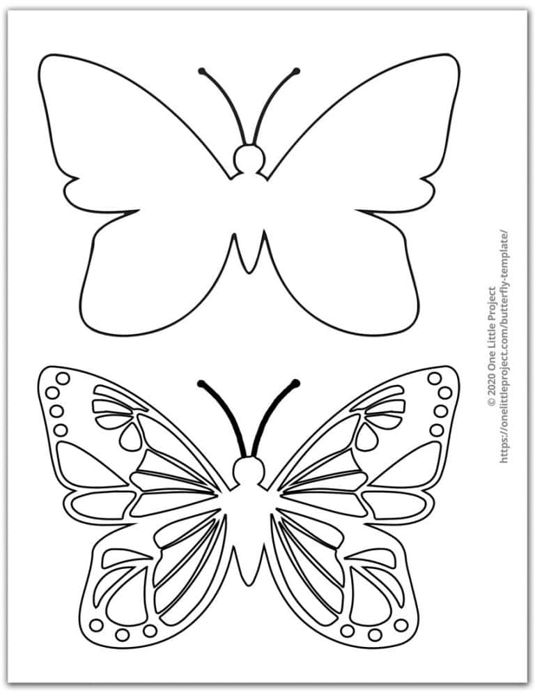 Butterfly Template | Free Printable Butterfly Outlines - One Little Project