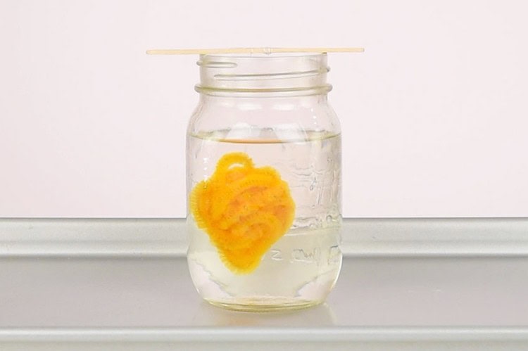 Borax Crystals | How to Make Borax Crystal Gems
