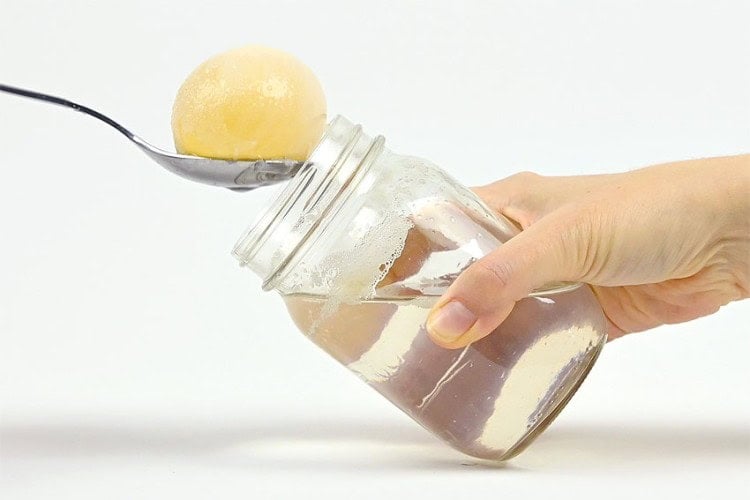 Egg in Vinegar Experiment | Naked Egg Science Experiment