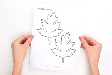 Fall Leaf Chalk Art | Chalk Pastel Art for Kids