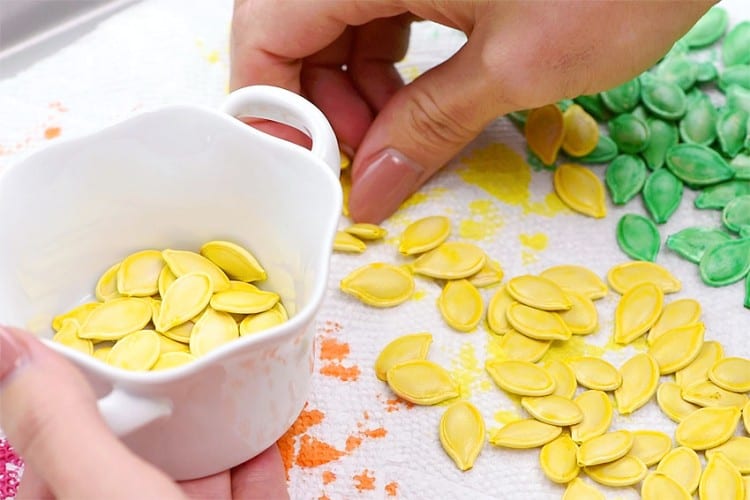 How to Dye Pumpkin Seeds | Plus 2 Easy Pumpkin Seed Crafts