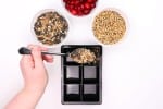 Ice Cube Bird Feeders | DIY Bird Feeder Ice Ornaments