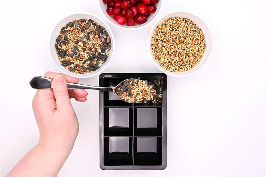 Ice Cube Bird Feeders | DIY Bird Feeder Ice Ornaments