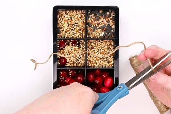 Ice Cube Bird Feeders | DIY Bird Feeder Ice Ornaments