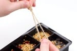 Ice Cube Bird Feeders | DIY Bird Feeder Ice Ornaments