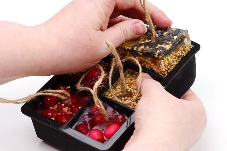 Ice Cube Bird Feeders | DIY Bird Feeder Ice Ornaments