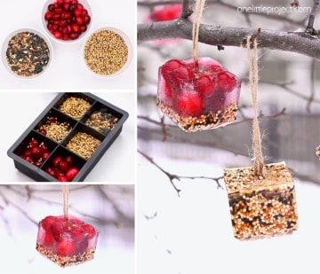 Ice Cube Bird Feeders | DIY Bird Feeder Ice Ornaments