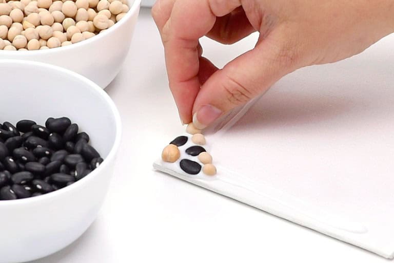 Bean Mosaic Art | Make Beautiful Mosaic Art with Beans!