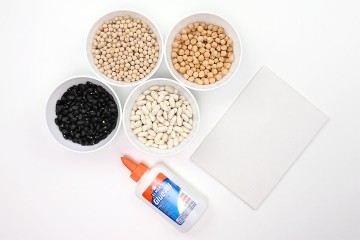 Bean Mosaic Art | Make Beautiful Mosaic Art with Beans!