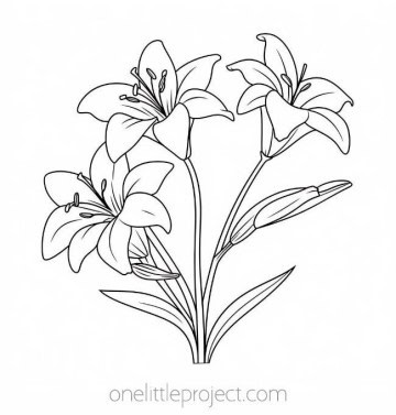 Flower Coloring Pages | Free, Printable Flower Coloring Sheets