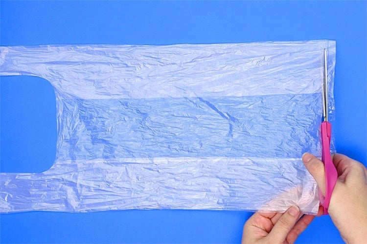 Jellyfish in a Bottle: A Simple Experiment for Kids