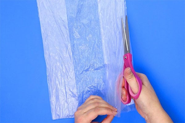 Jellyfish in a Bottle: A Simple Experiment for Kids