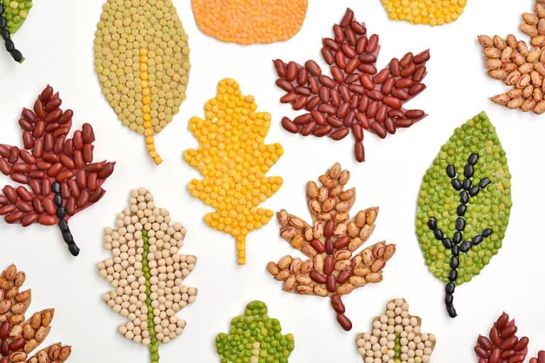 Fall Bean Mosaics | Autumn Leaf and Pumpkin Bean Art