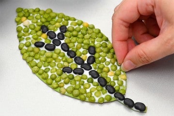 Fall Bean Mosaics | Autumn Leaf and Pumpkin Bean Art