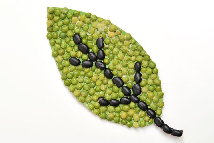 Fall Bean Mosaics | Autumn Leaf and Pumpkin Bean Art
