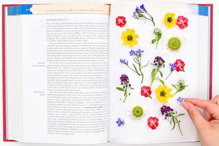 How to Press Flowers | The BEST Method for Drying Pressed Flowers!
