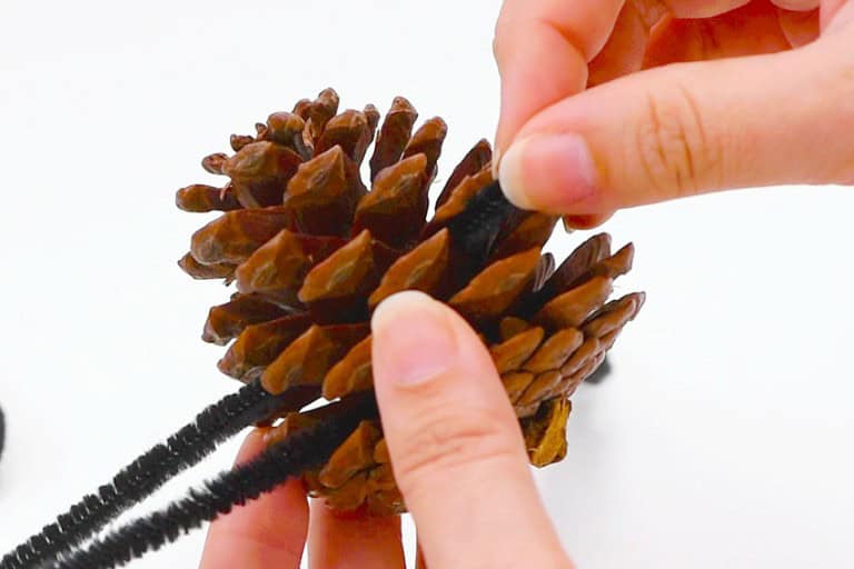 Pine Cone Spider Craft | Easy Halloween Craft for Kids
