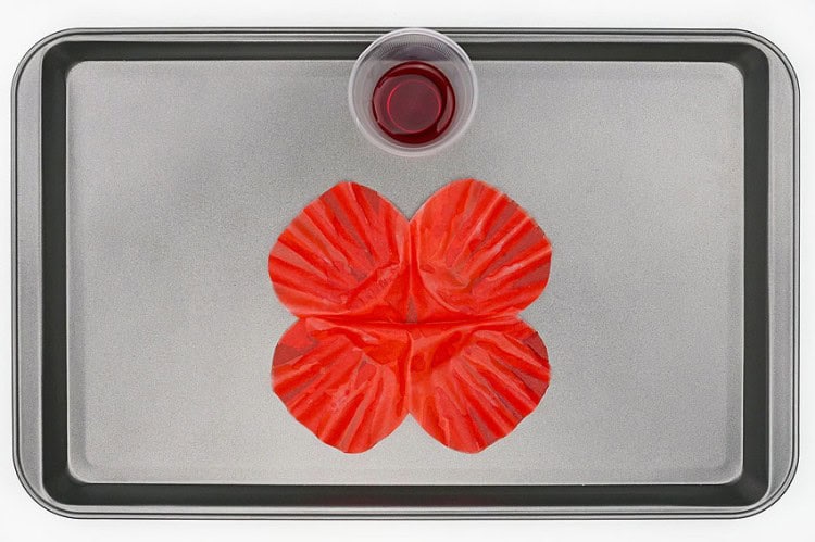 Coffee Filter Poppies | Easy Poppy Coffee Filter Craft