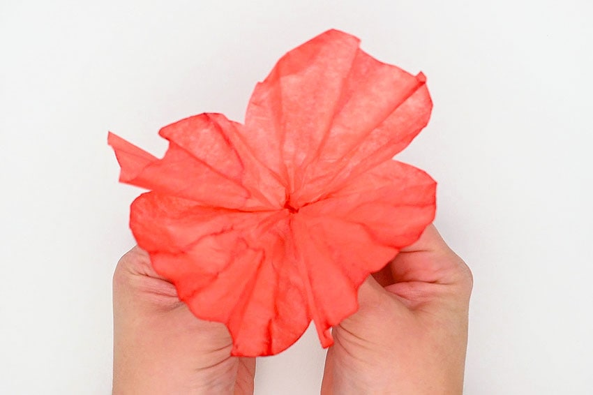 Coffee Filter Poppies | Easy Poppy Coffee Filter Craft
