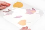 How to Preserve Leaves | Preserving Fall Leaves (3 Easy Ways!)