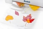 How to Preserve Leaves | Preserving Fall Leaves (3 Easy Ways!)