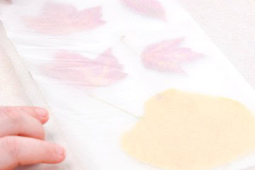 How to Preserve Leaves | Preserving Fall Leaves (3 Easy Ways!)