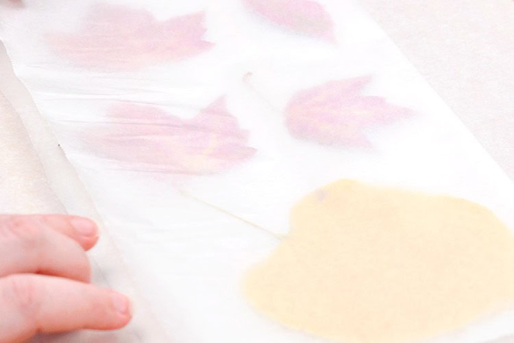 How to Preserve Leaves | Preserving Fall Leaves (3 Easy Ways!)