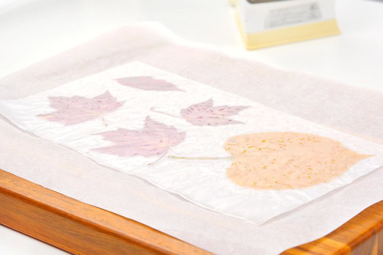 How to Preserve Leaves | Preserving Fall Leaves (3 Easy Ways!)