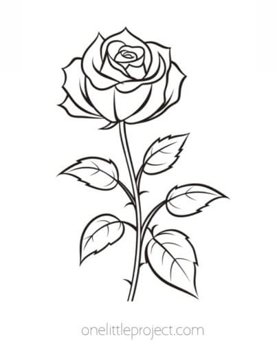 Simple Rose Outline | Free, Printable Rose Templates