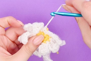 Crochet Daisy | FREE Daisy Crochet Pattern