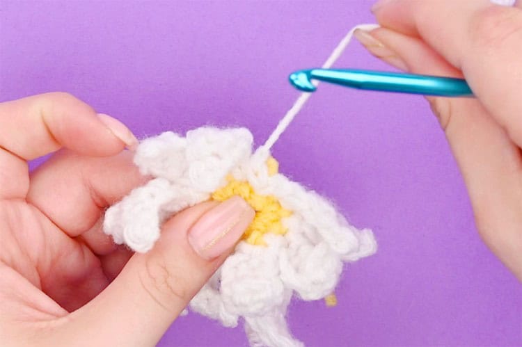 Crochet Daisy | FREE Daisy Crochet Pattern