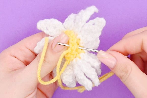 Crochet Daisy | FREE Daisy Crochet Pattern