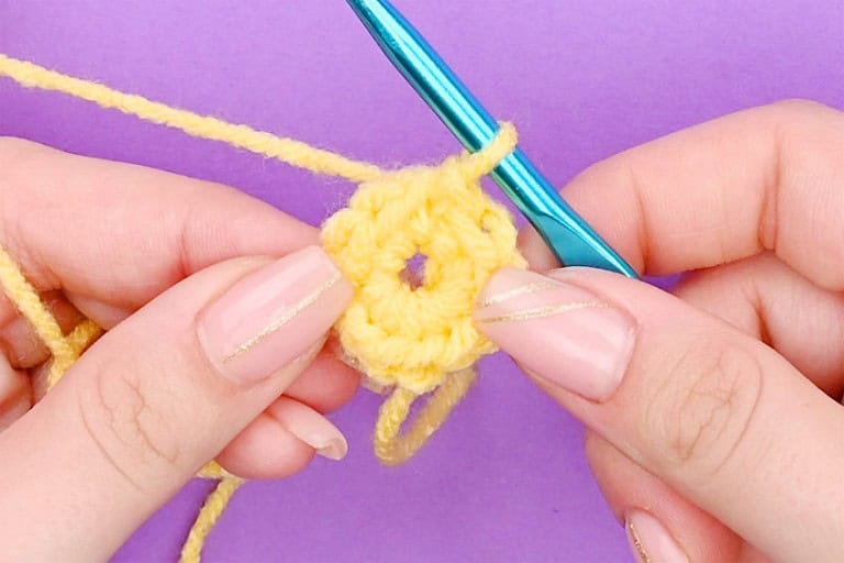 Crochet Daisy | FREE Daisy Crochet Pattern
