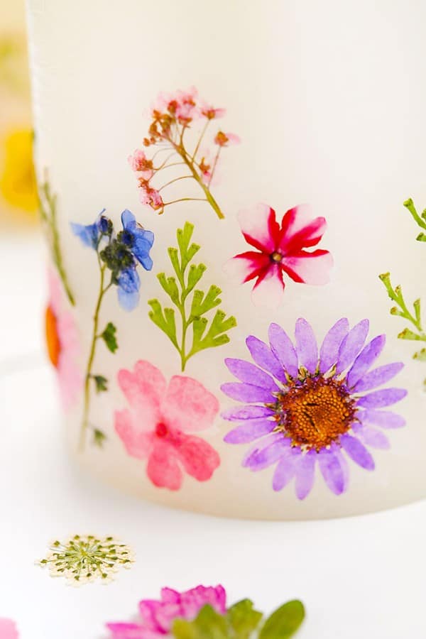 DIY Pressed Flower Candles | How to Make Dried Flower Candles