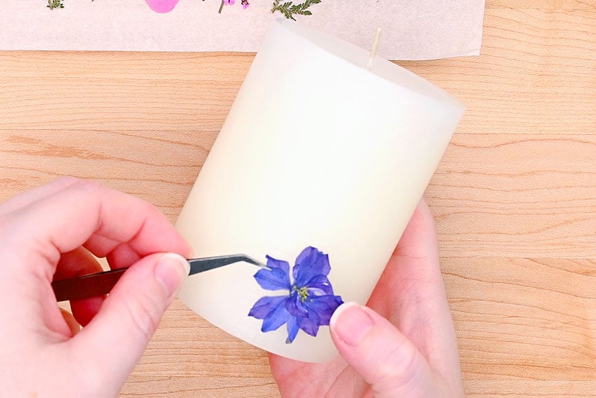 DIY Pressed Flower Candles | How to Make Dried Flower Candles