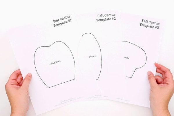 Felt Cactus Pattern | Free DIY Felt Cactus Template