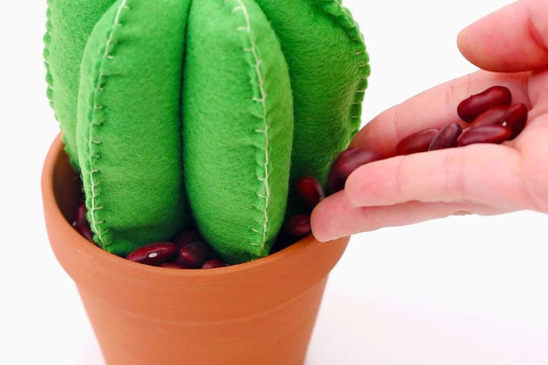 Felt Cactus Pattern | Free DIY Felt Cactus Template