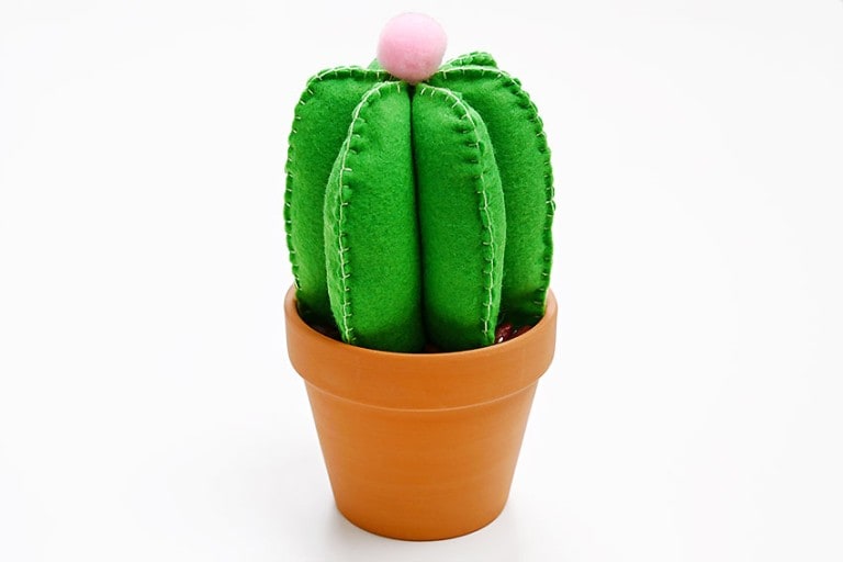 Felt Cactus Pattern | Free DIY Felt Cactus Template
