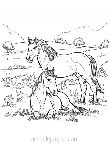 Horse Coloring Pages | FREE Printable Horse Coloring Sheets