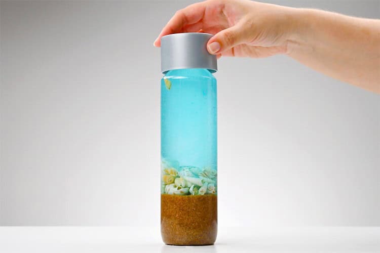Ocean Sensory Bottle | How to Make an Ocean in a Bottle