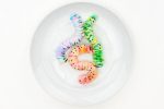 Paper Worm Experiment | Growing Worms Science Experiment