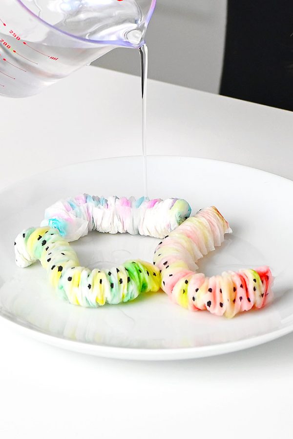 Paper Worm Experiment | Growing Worms Science Experiment