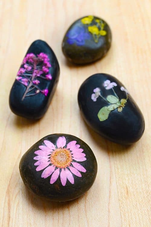 Pressed Flower Rocks | Easy Pressed Flower Craft