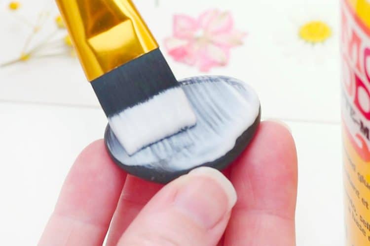 Pressed Flower Rocks | Easy Pressed Flower Craft
